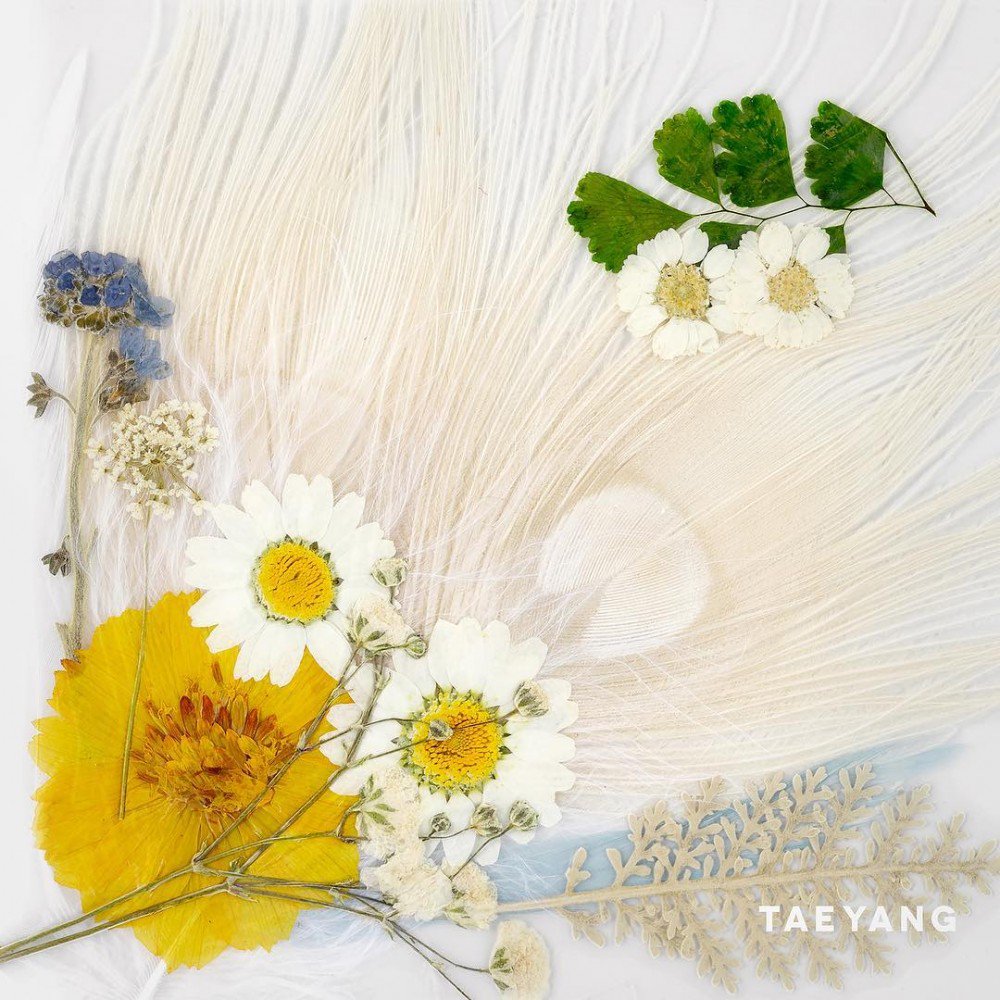 [Album Review] White Night (3rd Studio Album) – Taeyang (Big Bang ...